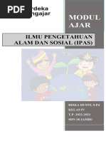 Modul Pembelajaran Discovery Learning | PDF | Karier & Perkembangan | Kesehatan Holistik