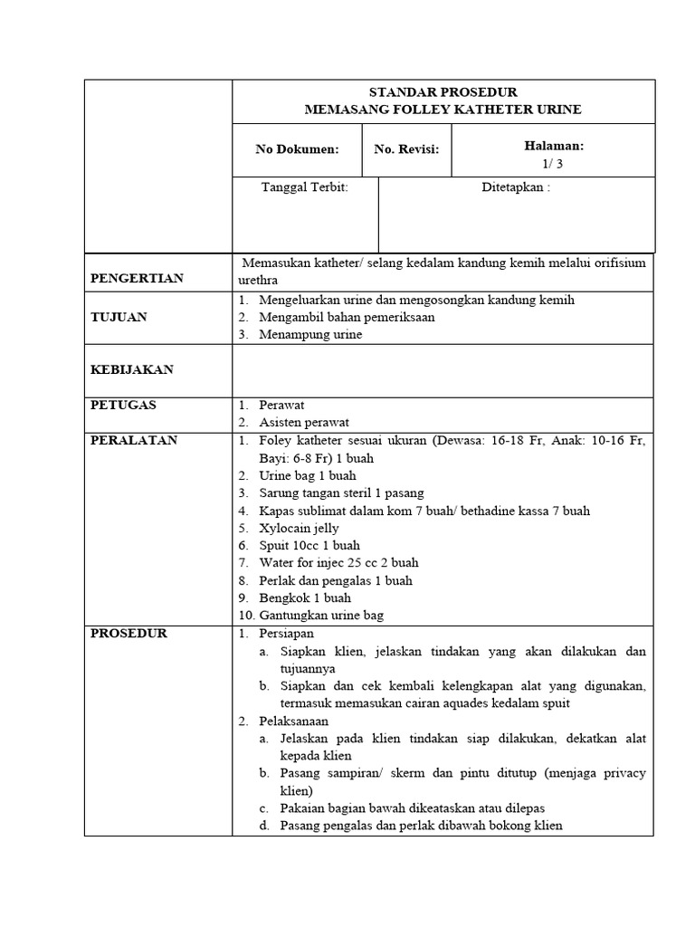 Panduan Pemasangan Kateter Urine | PDF