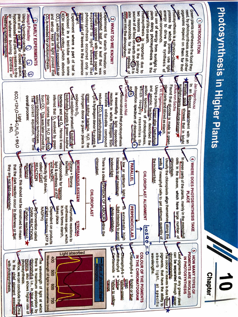Photosynthesis MIND Maps by Om Mishra | PDF | Photosynthesis | Biology