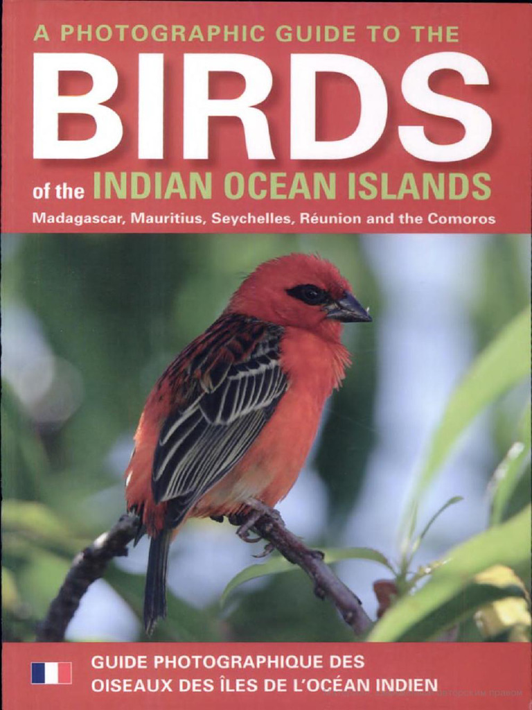 A Photographic Guide To The Birds of The Indian Ocean Islands ...
