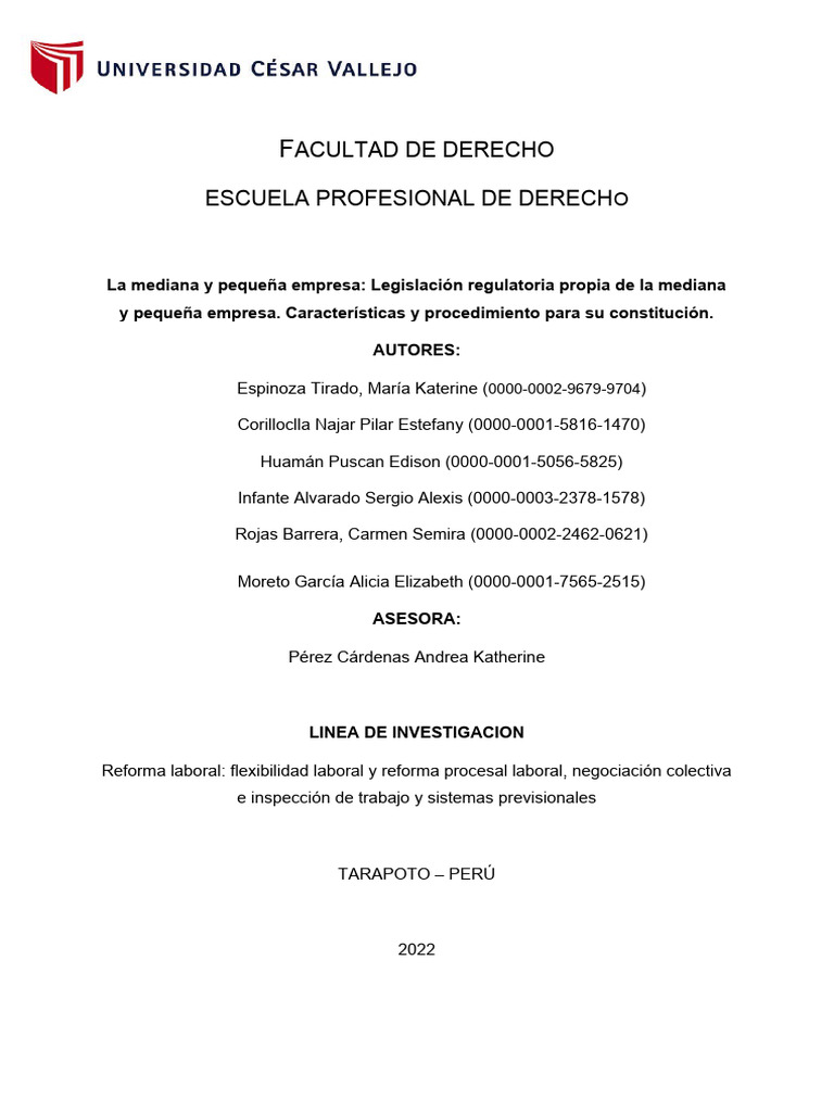 Pequeña y Mediana Empresa | PDF | Pequeñas y medianas empresas | Business