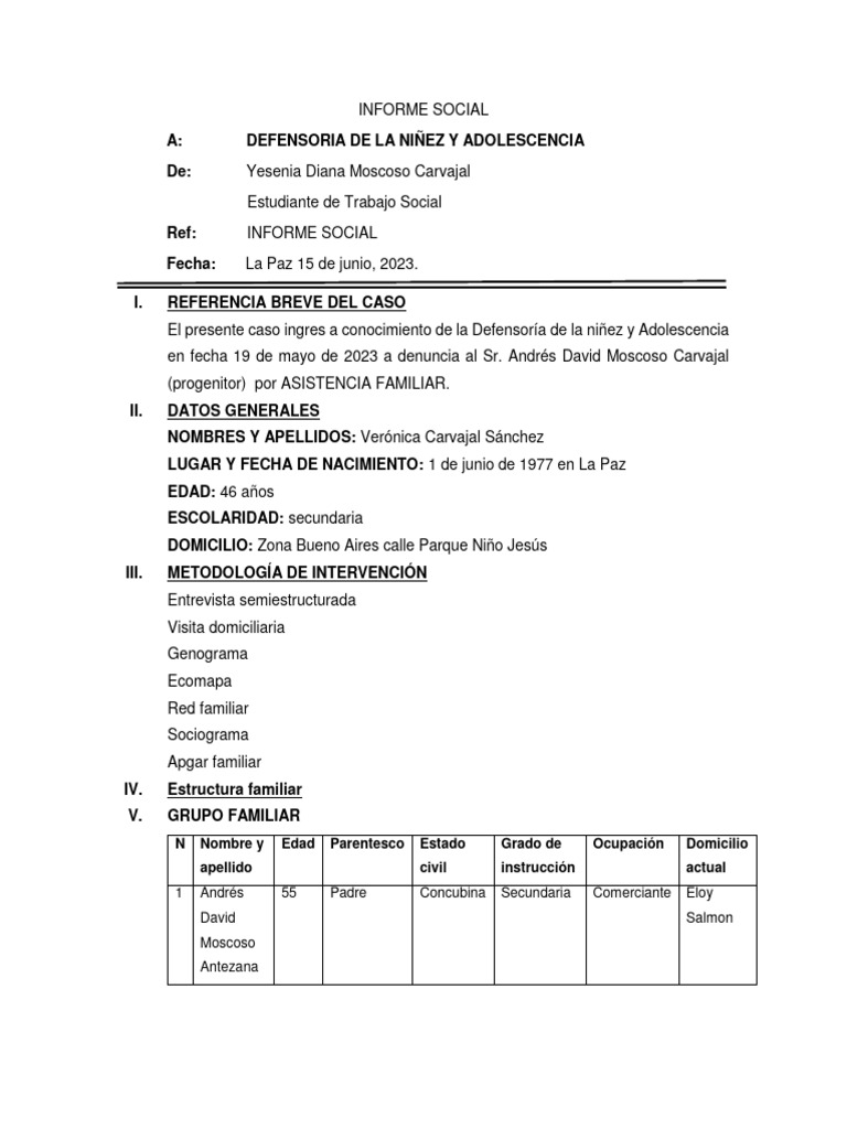 Informe Social | PDF