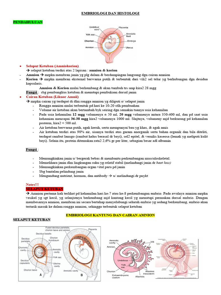 Embriologi Dan Histologi | PDF