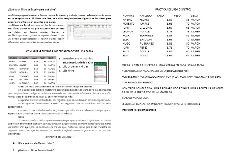 Filtros en Excel | PDF | Informática