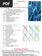 Nucleic Acid | PDF | Nucleotides | Nucleic Acids