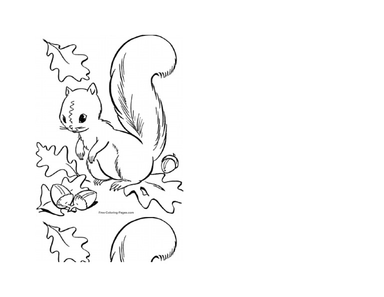 Vjeverica Bojanka | PDF