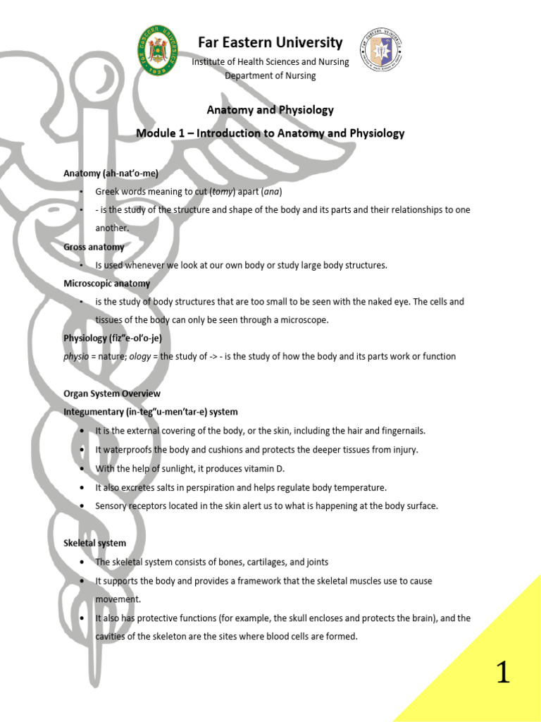AnaPhy Module 1 Introduction To Anatomy and Physiology | PDF | Human ...
