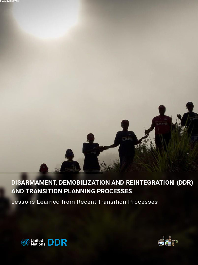 Paper On DDR and Transition Planning Processes May2021 | PDF | United ...
