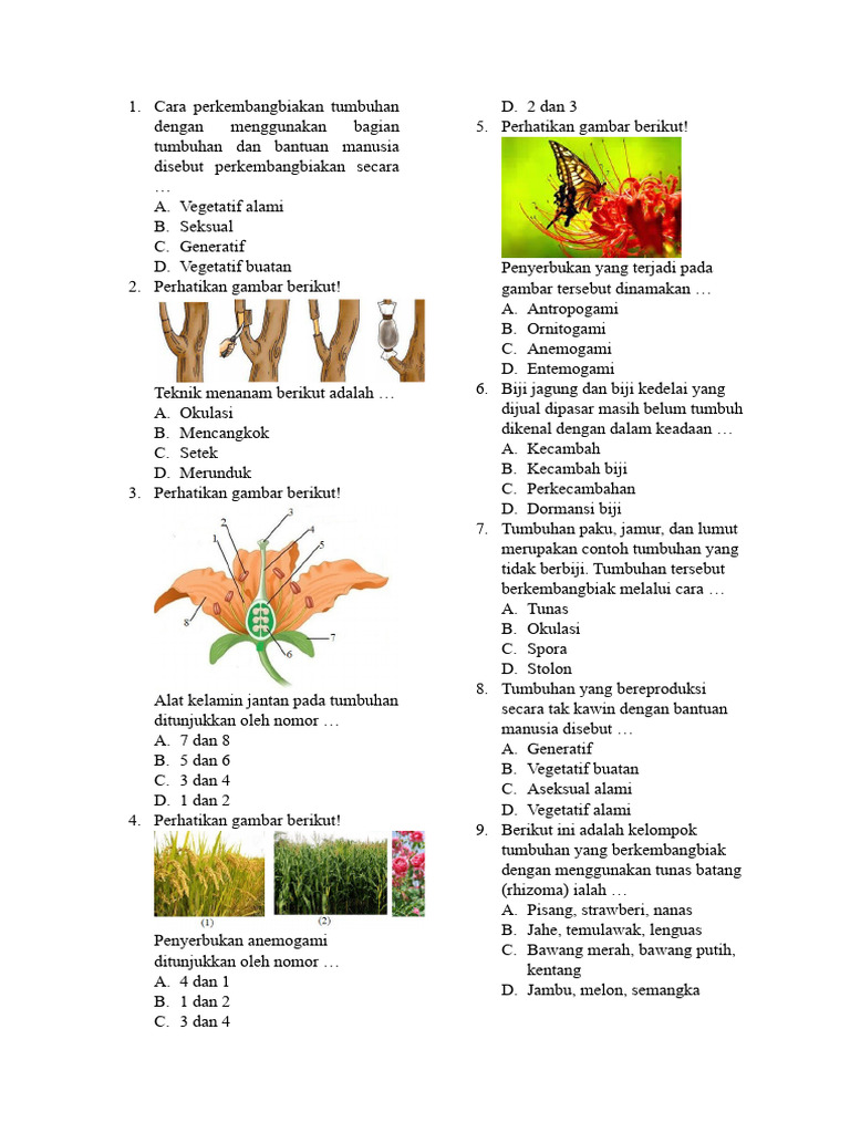 Kelas 9 IPA (Perkembangbiakan Tumbuhan & Hewan) | PDF