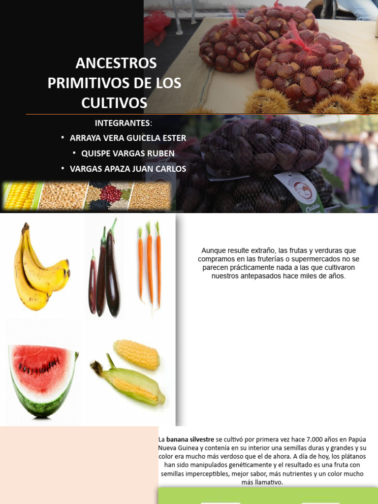 Evolución de Frutas y Verduras Antiguas | PDF | Sandía | Miseria