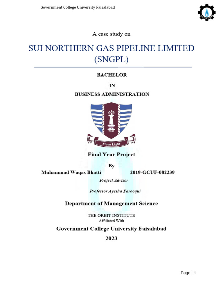 SNGPL | Download Free PDF | Marketing | Digital Marketing