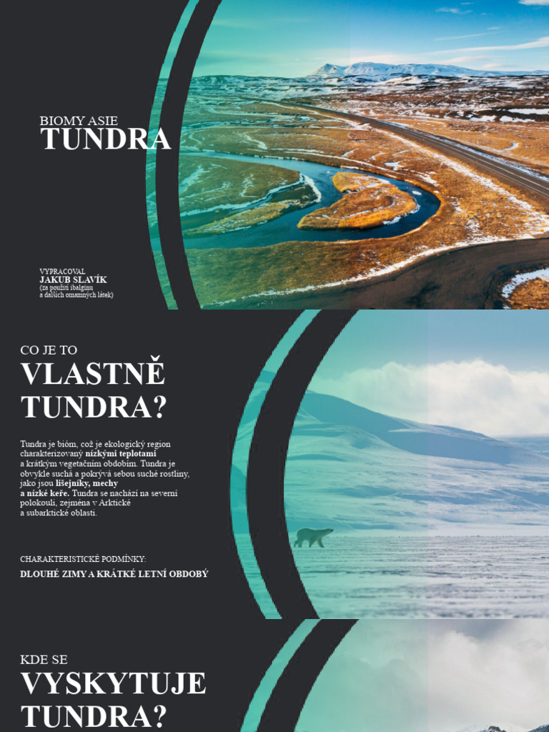 Tundra Asie | PDF