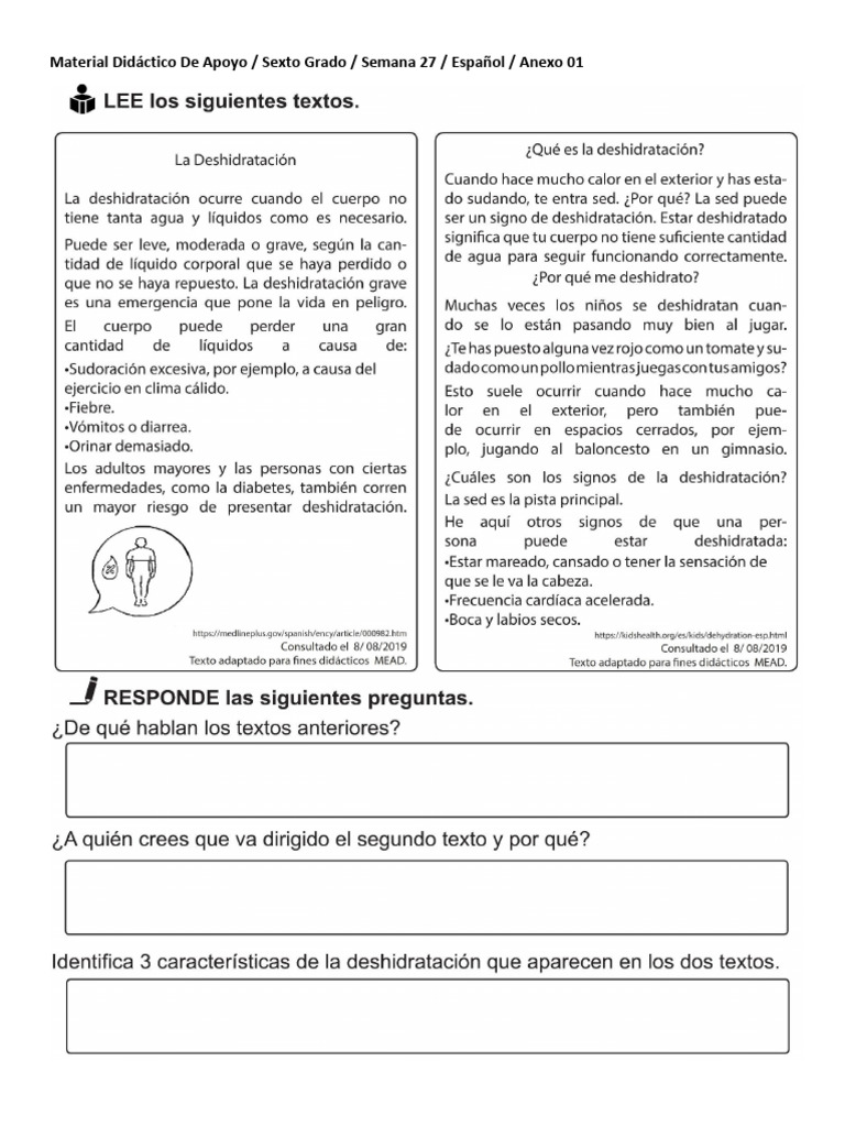 Anexos 27 | PDF