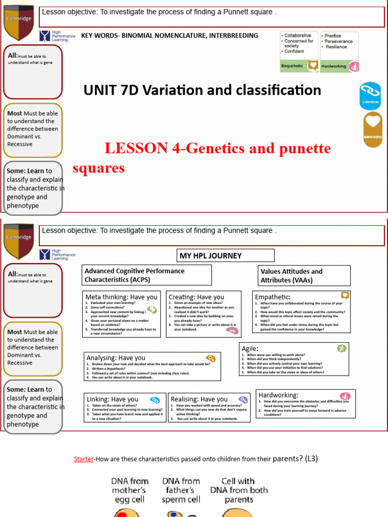 Lesson-4 Genetics and Punette Squares | PDF | Dominance (Genetics) | Allele