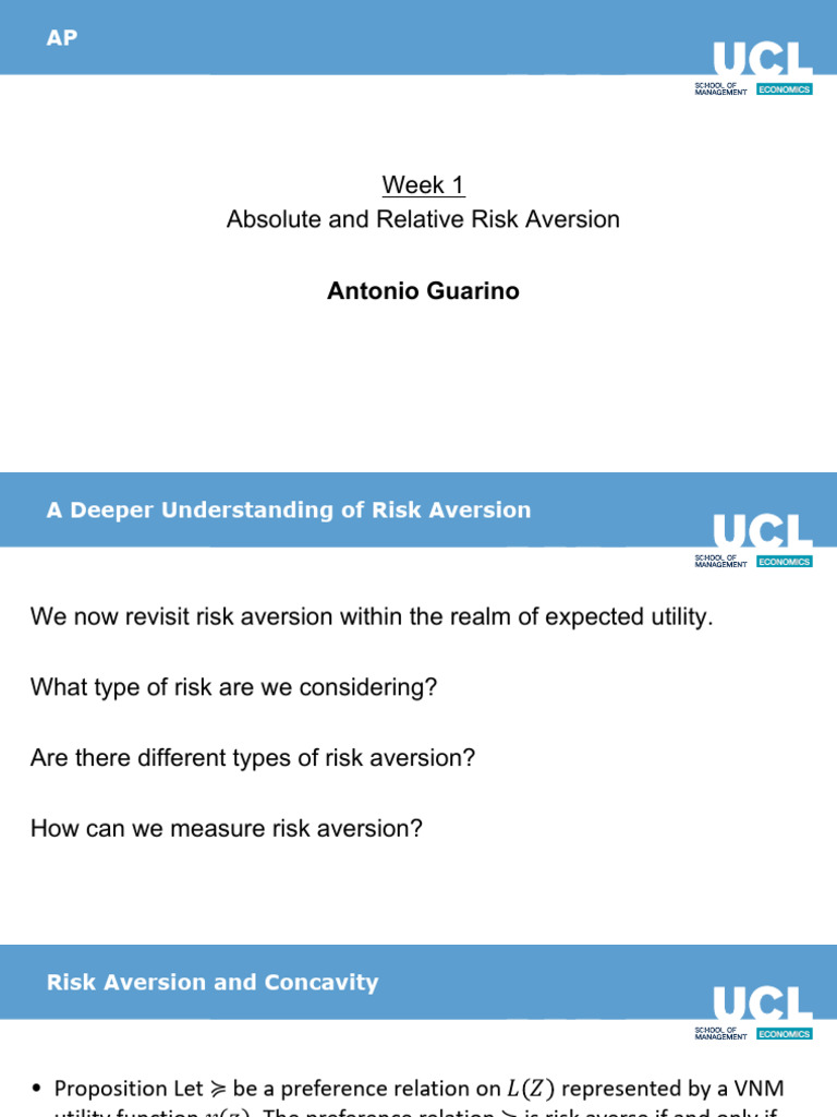 Risk Aversion in Expected Utility | PDF | Finance & Money Management
