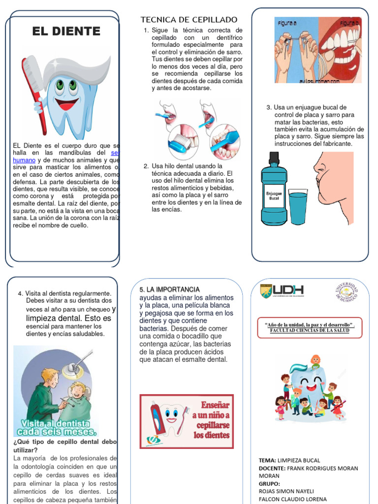 Triptico Nayeli | PDF | Diente | Cepillo de dientes