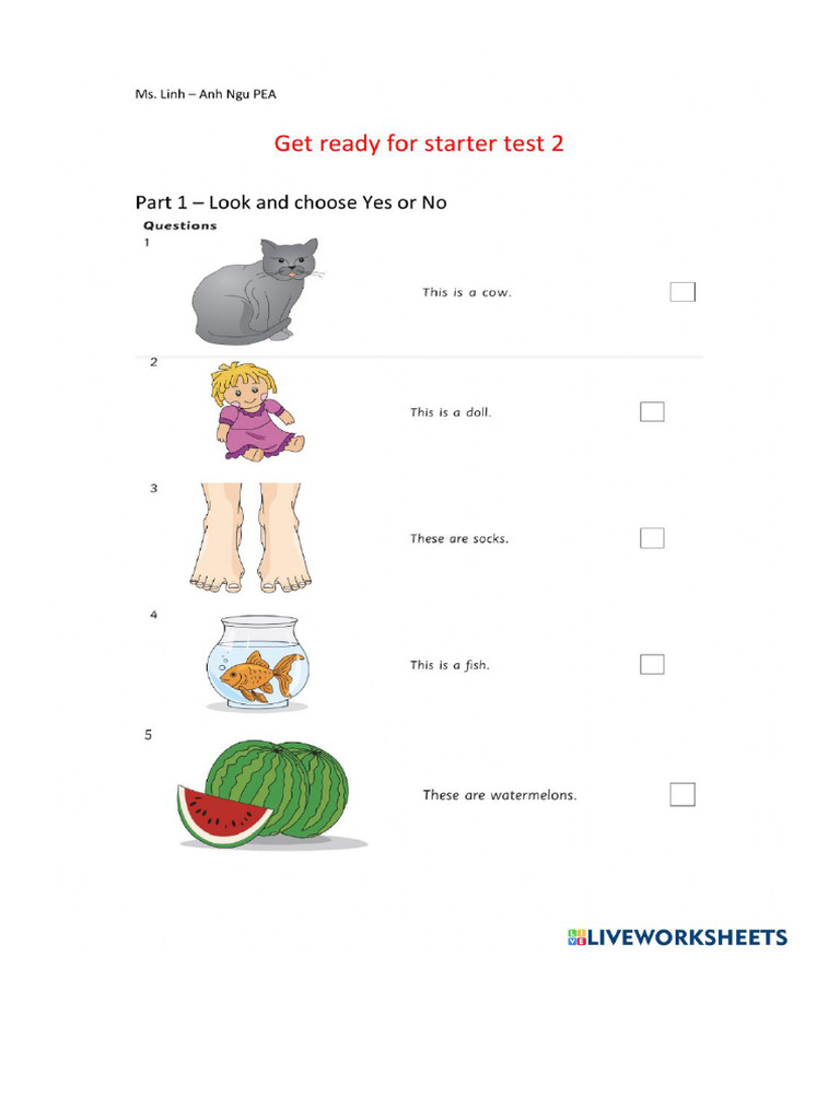 Starters Test Practise | PDF