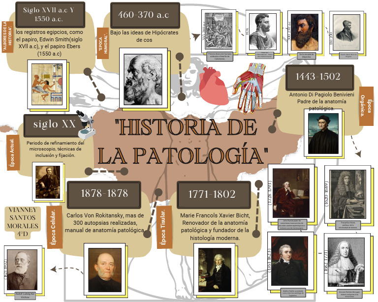 Historia de La Patología | PDF