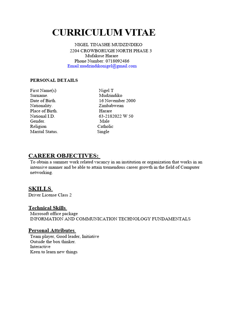 Nigel Mudzindiko CV: Computer Networking | PDF
