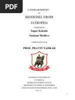 Julián Arca Banzón: Coconut Science Innovator | PDF