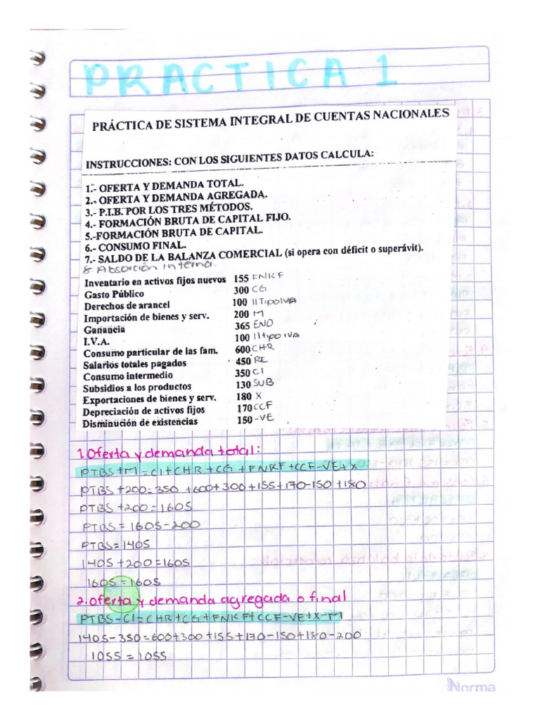 Práctica de Sistema Integral de Cuentas Nacionales | PDF
