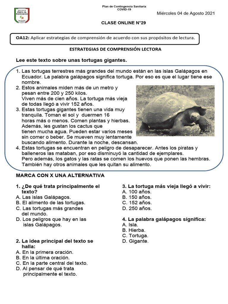Estrategias de Comprensión Lectora | PDF