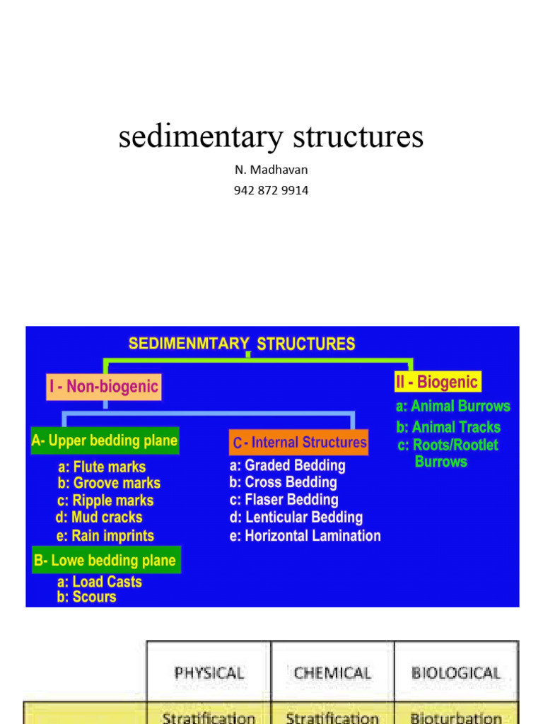 2022 05 Sedimentary Structures | PDF | Sedimentary Rock | Earth Sciences