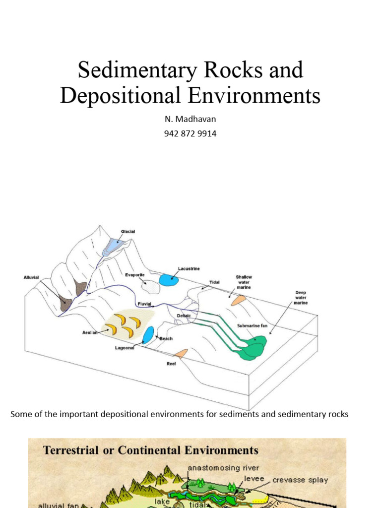 2022 06 Sedimentary Rocks and Depositional Environments | PDF