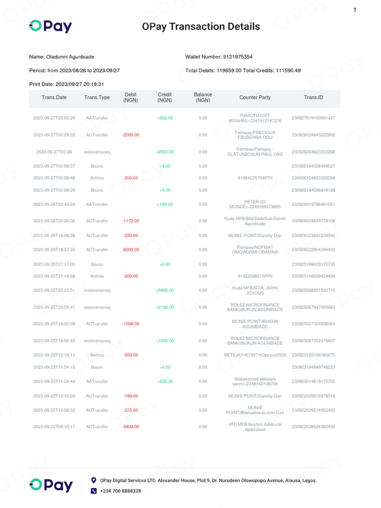 Oladunni Agunbiade Wallet Statement | PDF