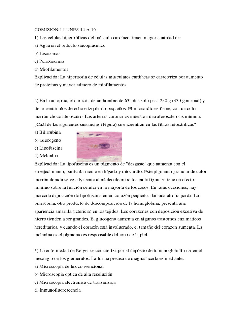 Compilado Pra Final de Pato 1 | PDF