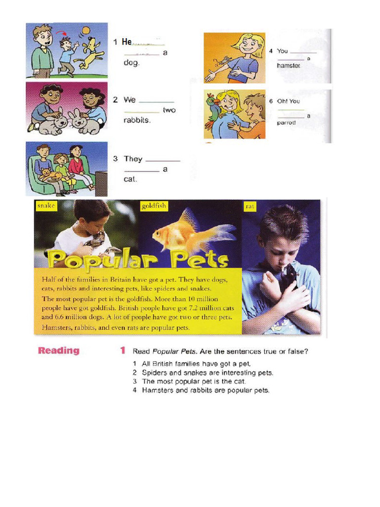 Have Got Reading | PDF