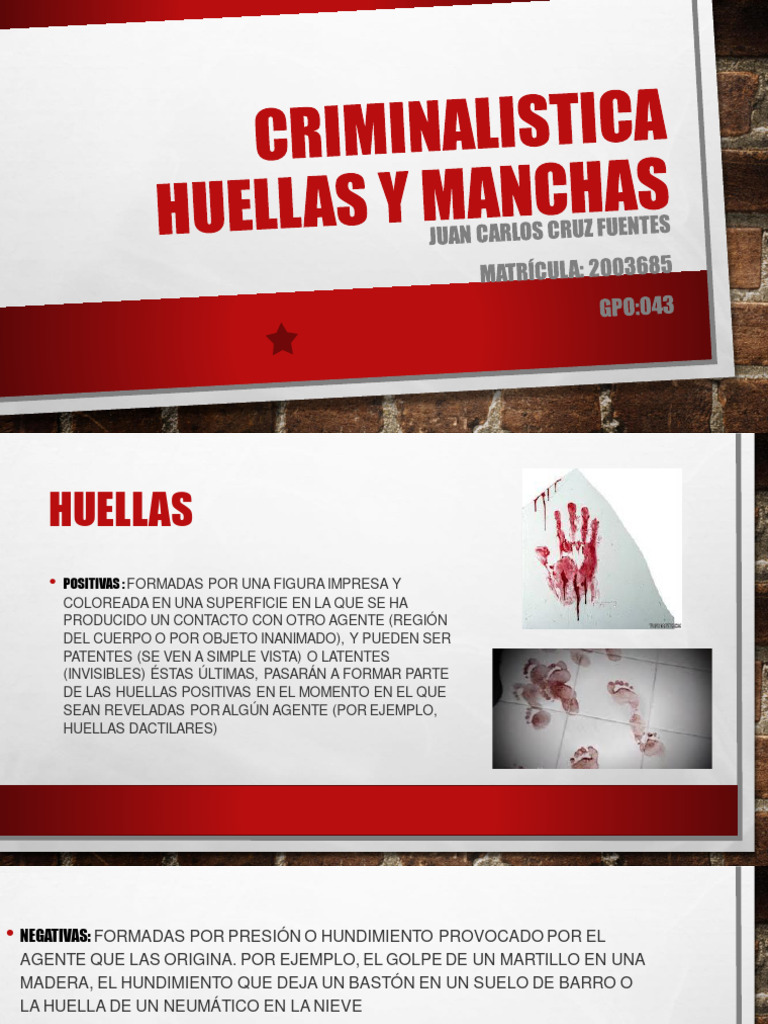 Huellas Positivas y Negativas en Criminalística | PDF