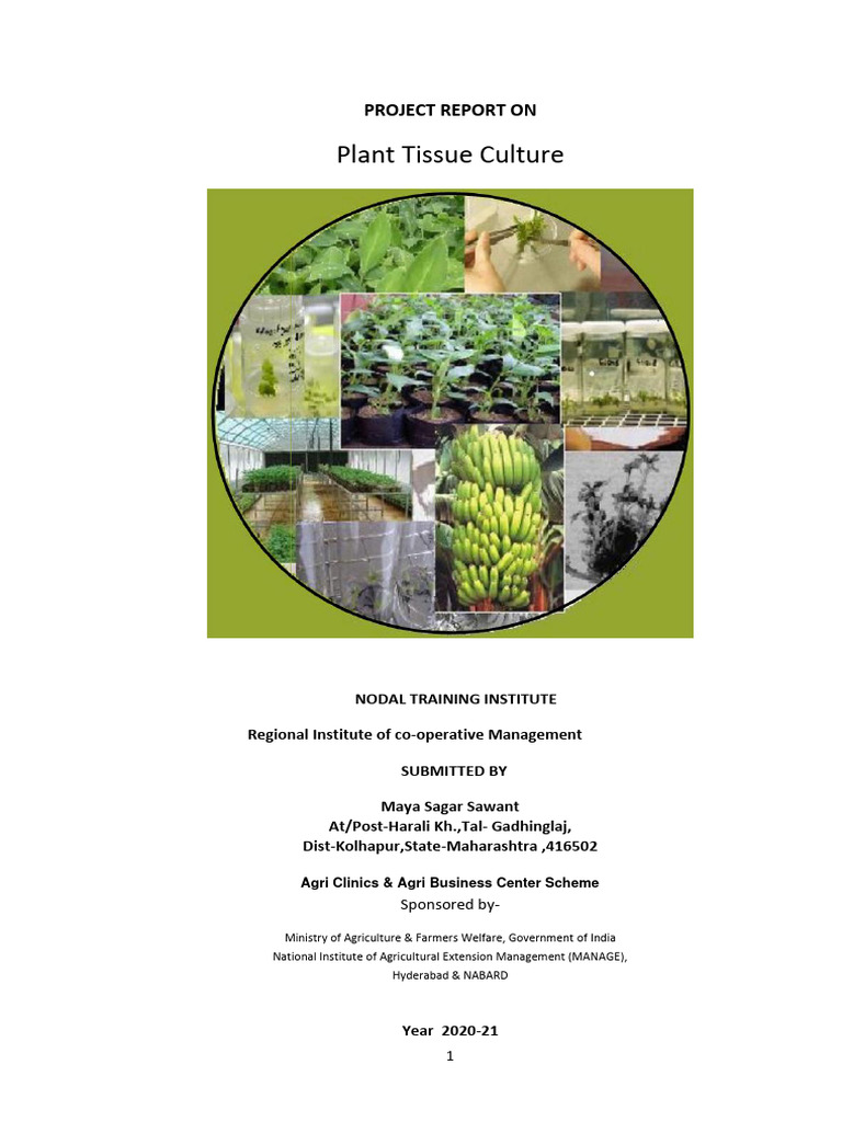 Plant Tissue Culture: Project Report On | PDF