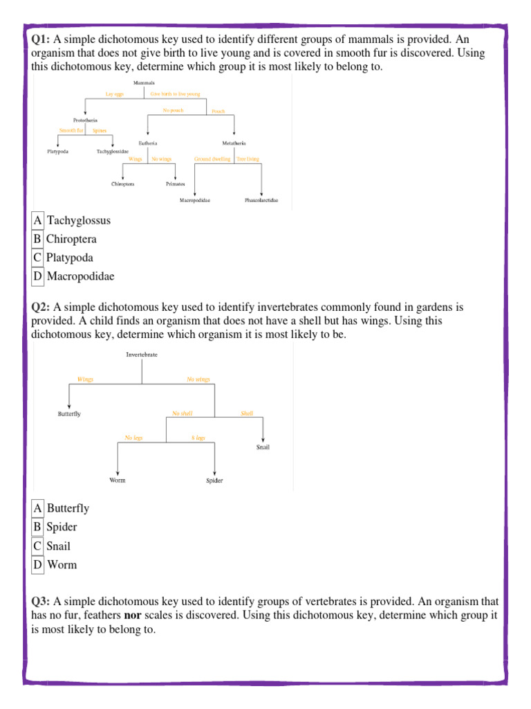 EKB Dichotomous Keys | PDF | Mammals | Taxa