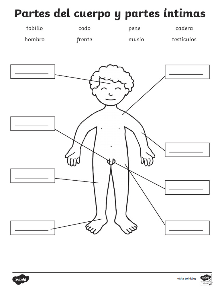 Partes Privadas De Los Niños