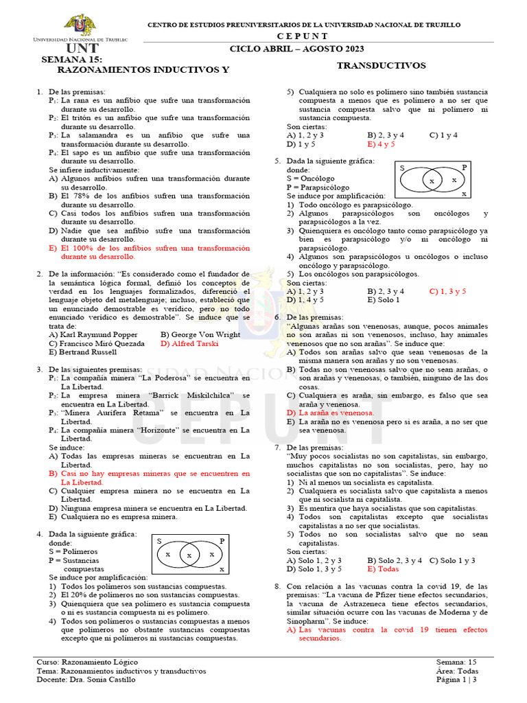 Semana 15 Sonia Castillo | PDF