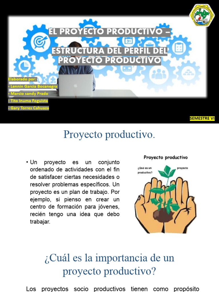Proyecto Productivo y Sus Caracteristicas - y Su Estructura | PDF ...