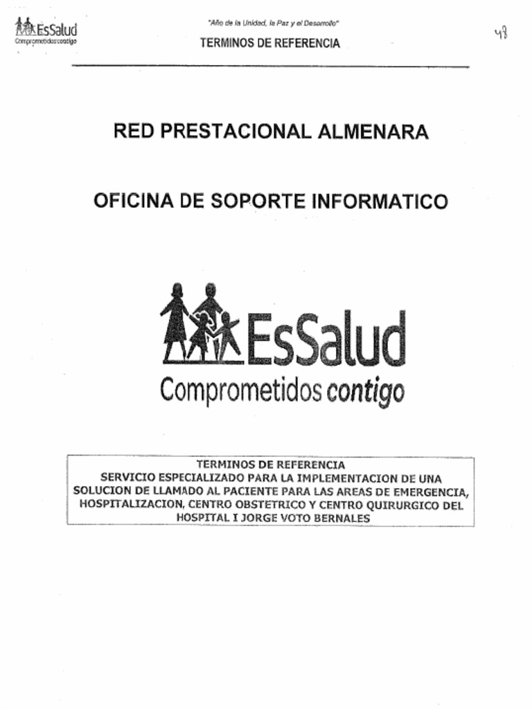 TDR SERVICIO ESPECIALIZADO PARA LA IMPLEMENTACIÓN DE UNA SOLUCIÓN DE ...