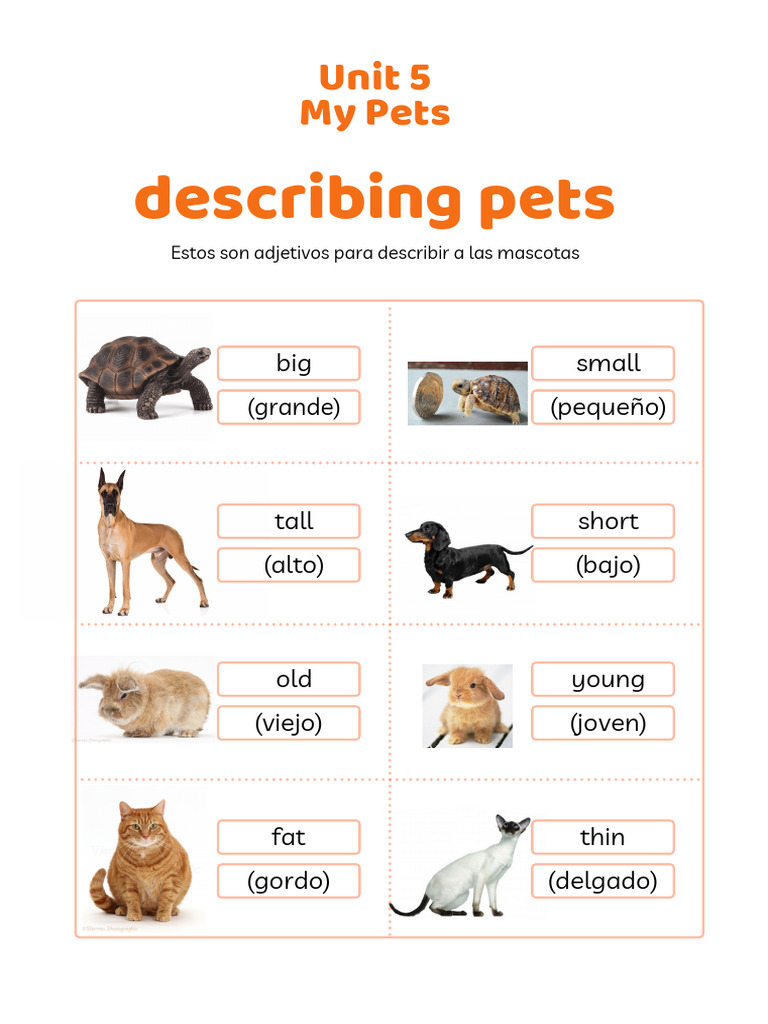 Describing Pets 1st Grade | PDF | Salud y bienestar