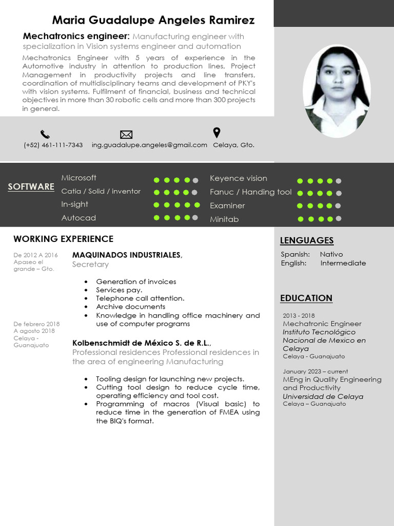 CV Resume2 | PDF