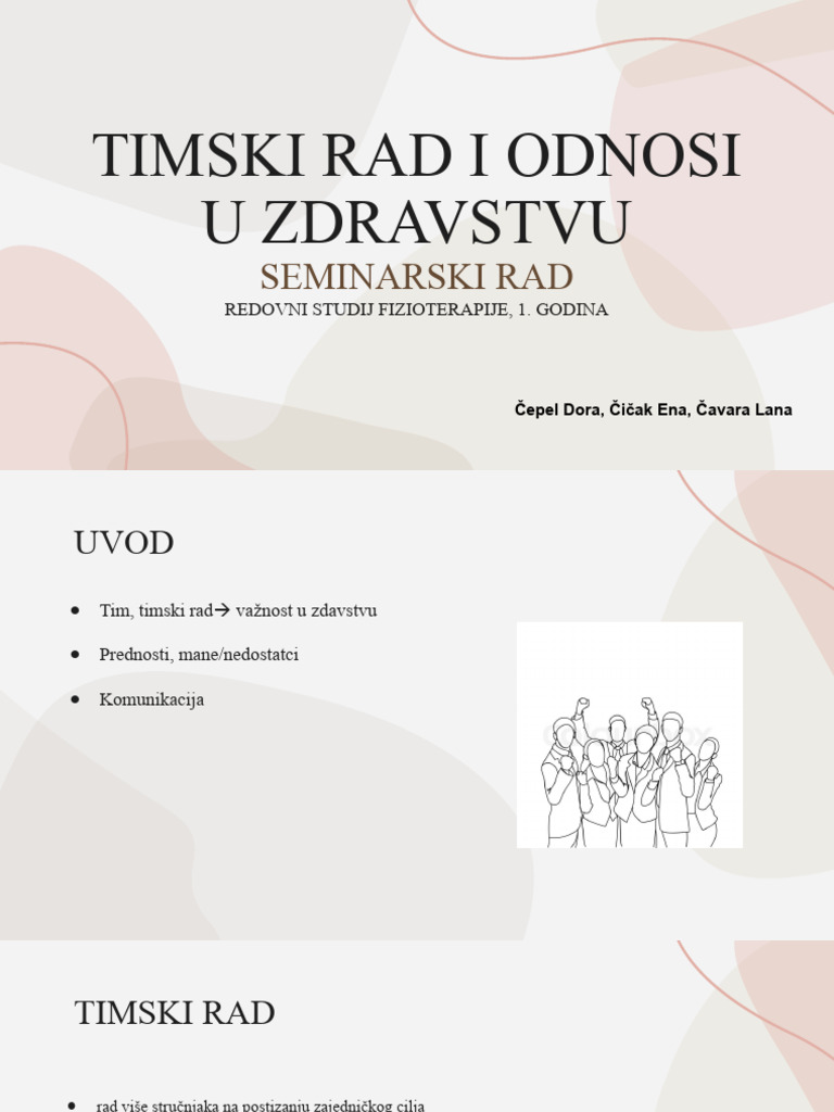 Timski Rad I Odnosi U Zdravstvu | PDF