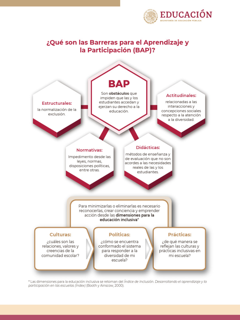 Infografia BAP | PDF | Aprendizaje | Modificación de comportamiento