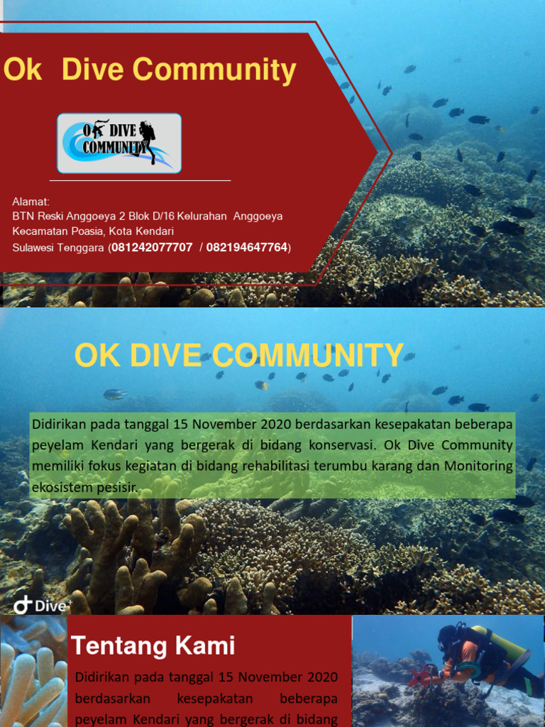 Profil Ok Dive Community | PDF