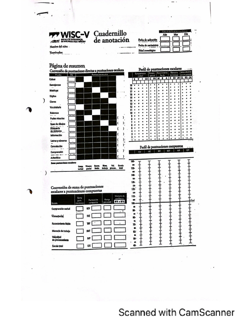 Materiales WISC V | PDF