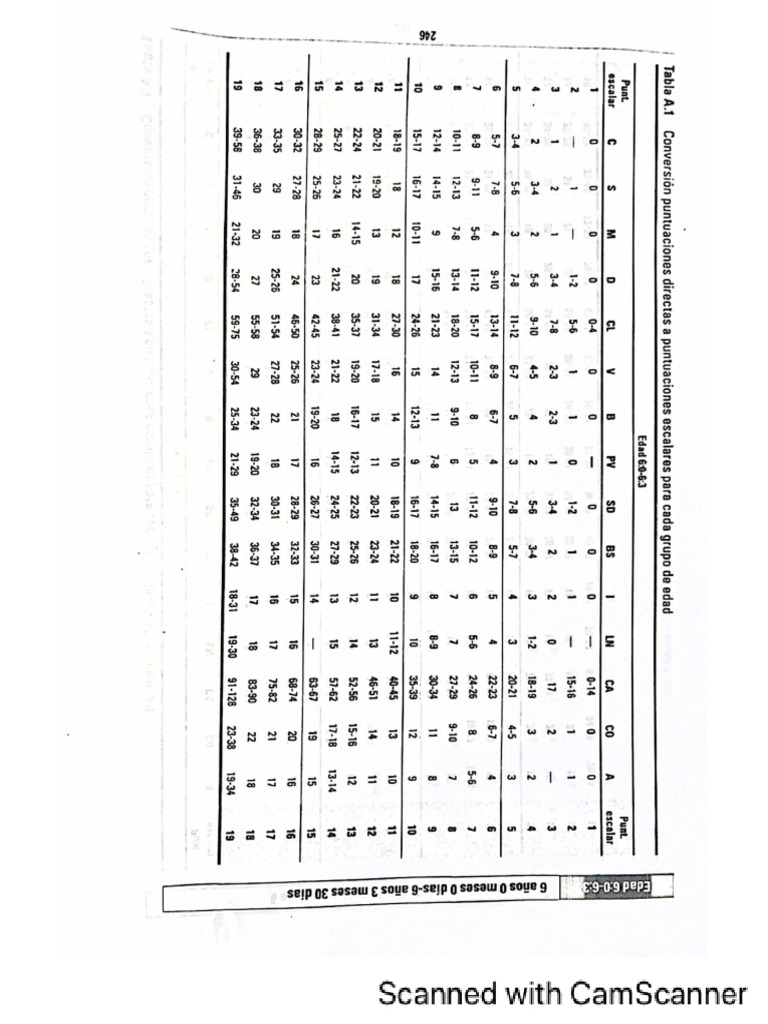 Baremos WISC V | PDF