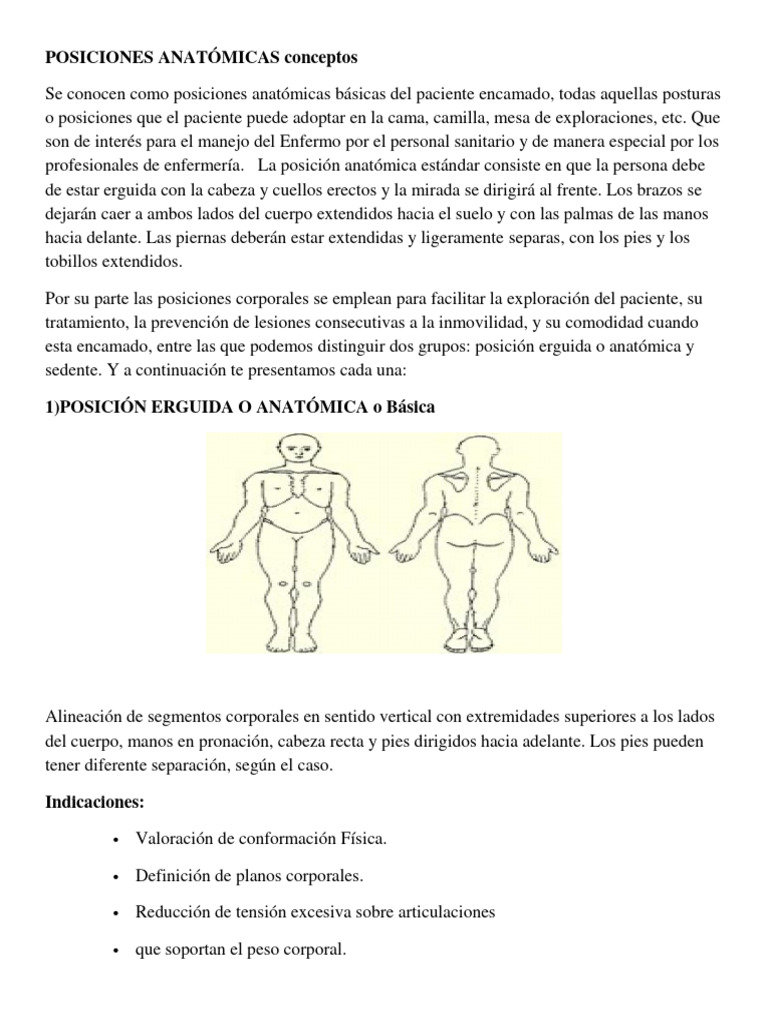 POSICIONES ANATÓMICAS | PDF | Términos anatómicos de ubicación | Abdomen