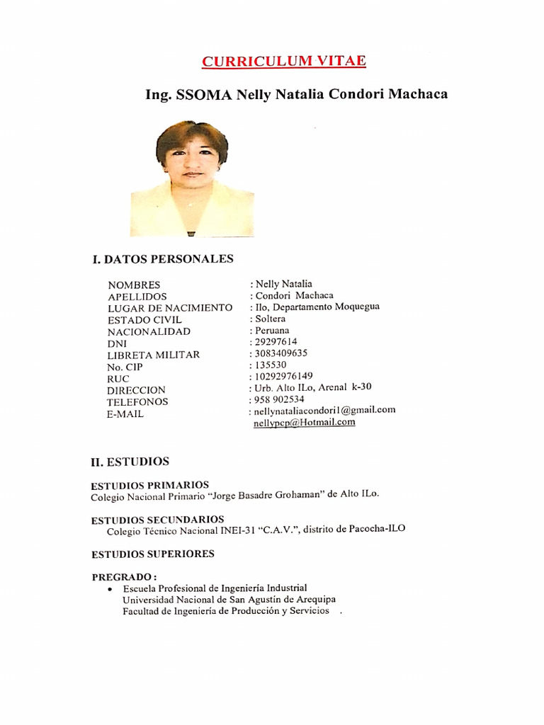 Ing - Seguridad Nelly Condori | PDF