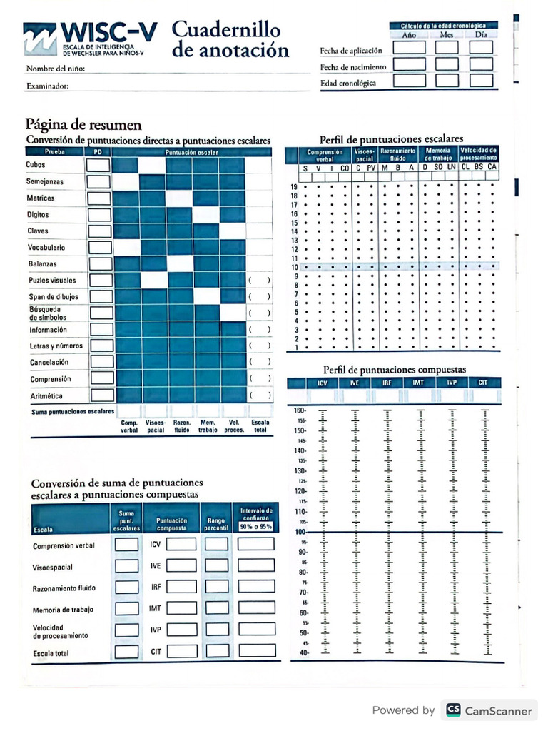 Protocolo (WISC-V) | PDF