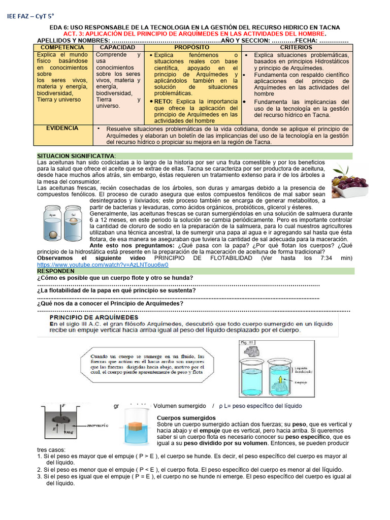 5° Exp 6 - Act 04 | PDF