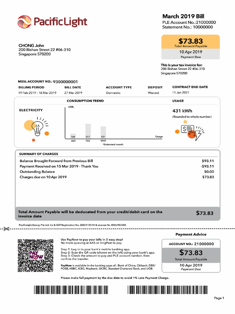 Singapore Electricity Utility Bill Template | PDF